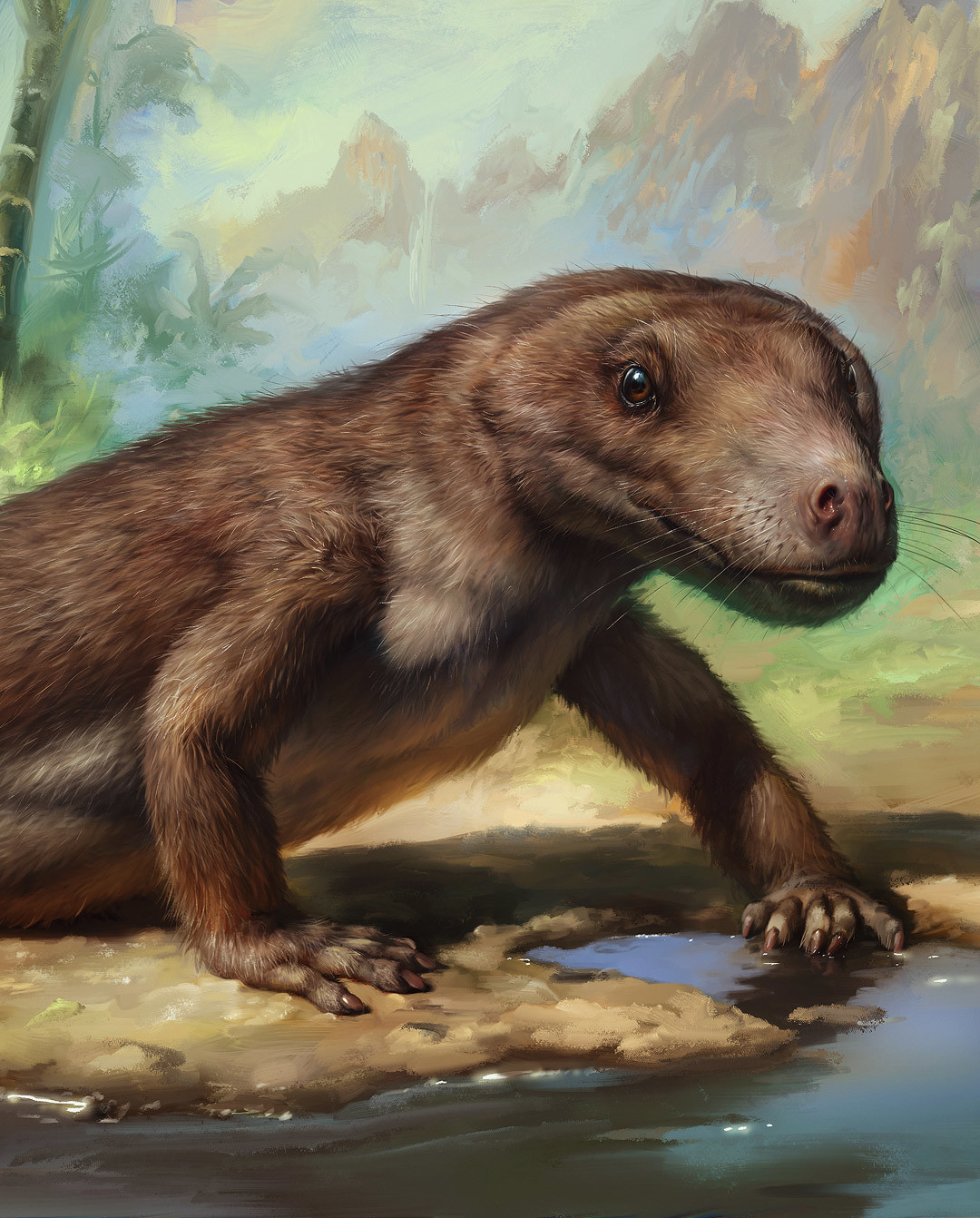 ArtStation - Bauria
