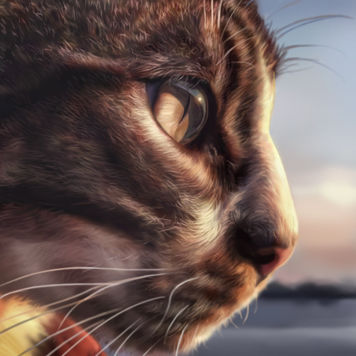 ArtStation - Cat Drawing