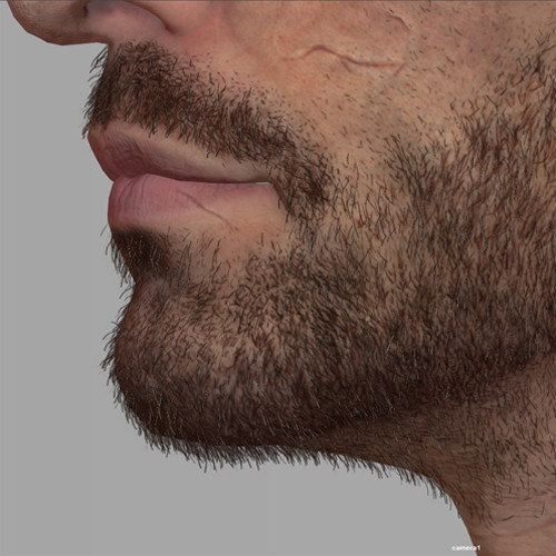 ArtStation - [2016]Man beard in real-time