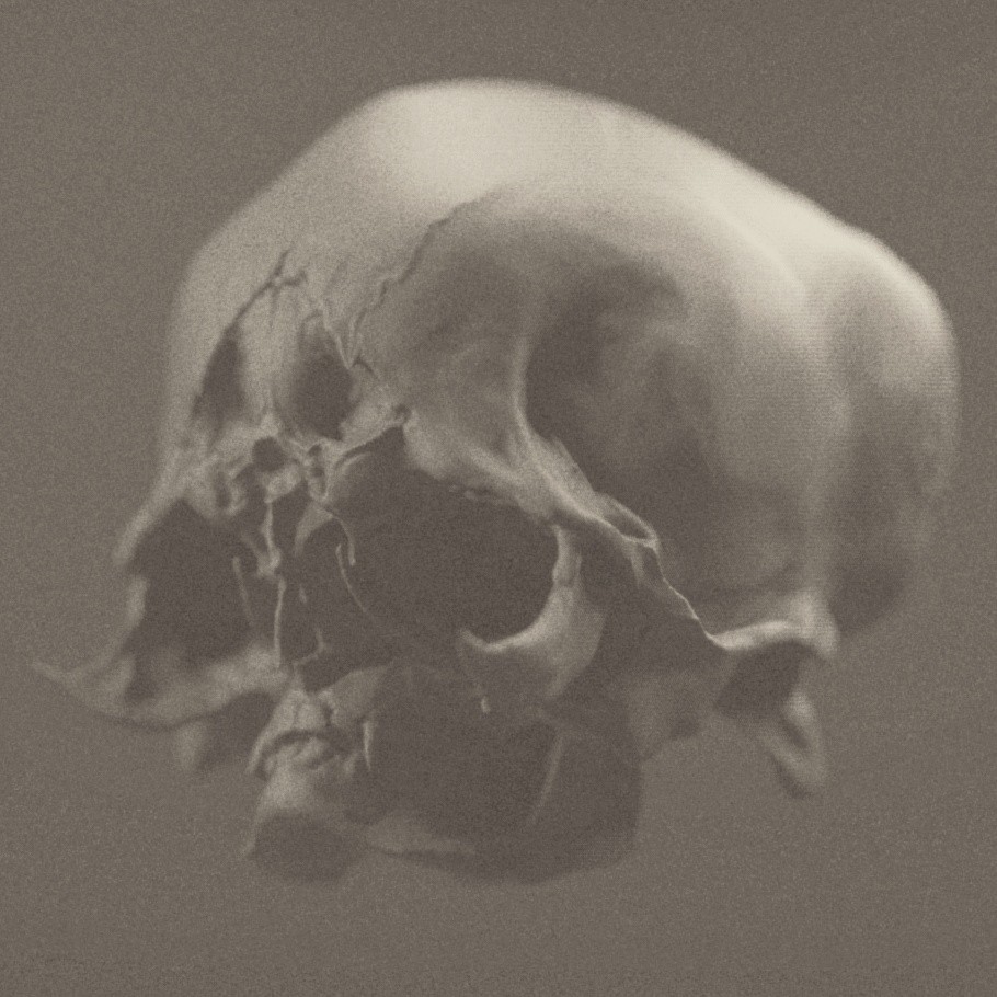 ArtStation - Random skull 3/26/2017, Leon Enriquez