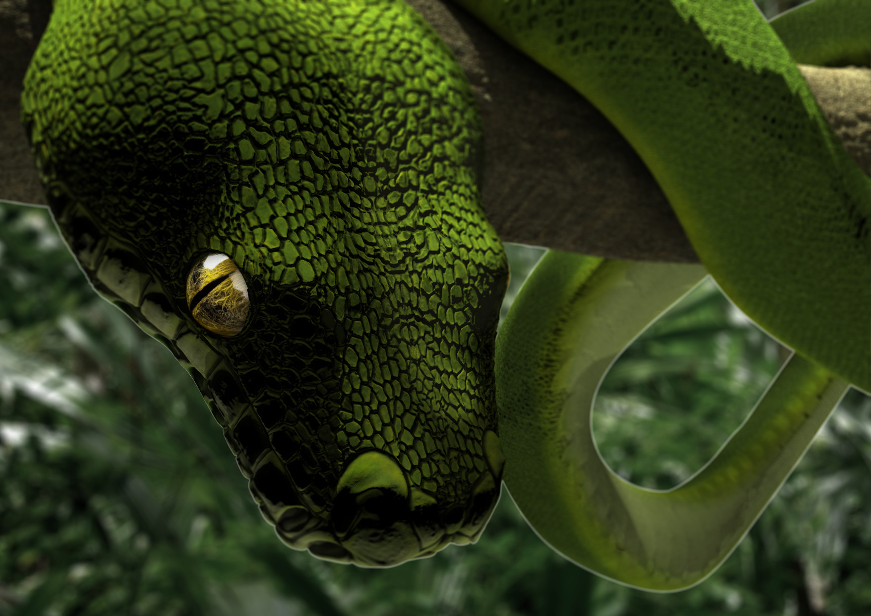 ArtStation - Green tree python, Morelia viridis