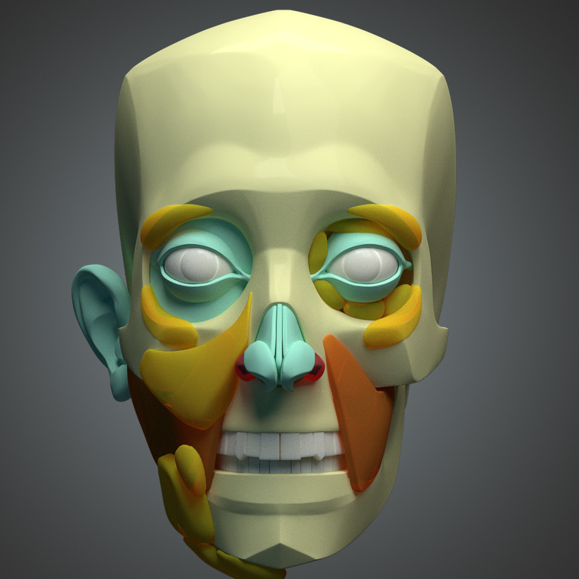 ArtStation - Face Fat Pads