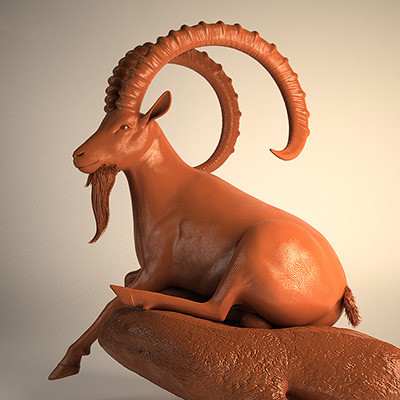 ArtStation - Ibex Study