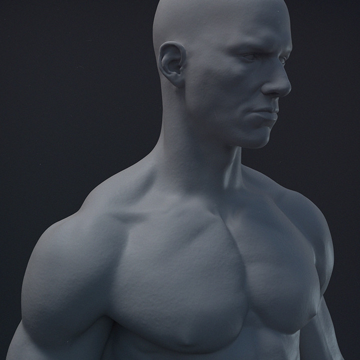 ArtStation - Anatomy Study: back to basics