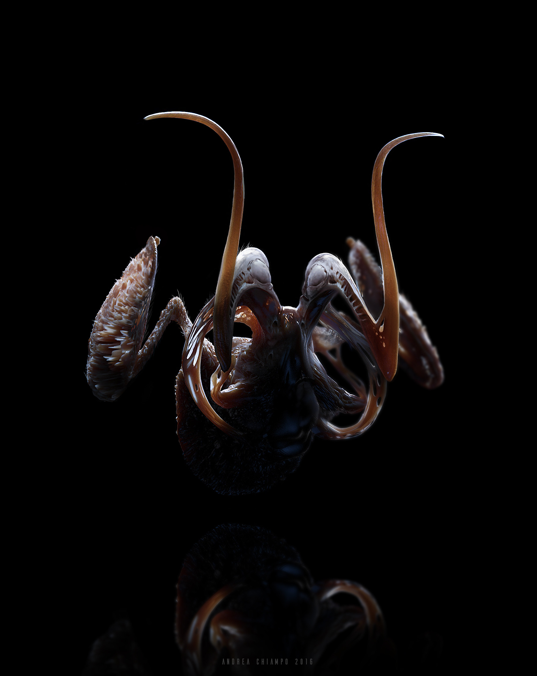 ArtStation - Alien Insect Sketch_2