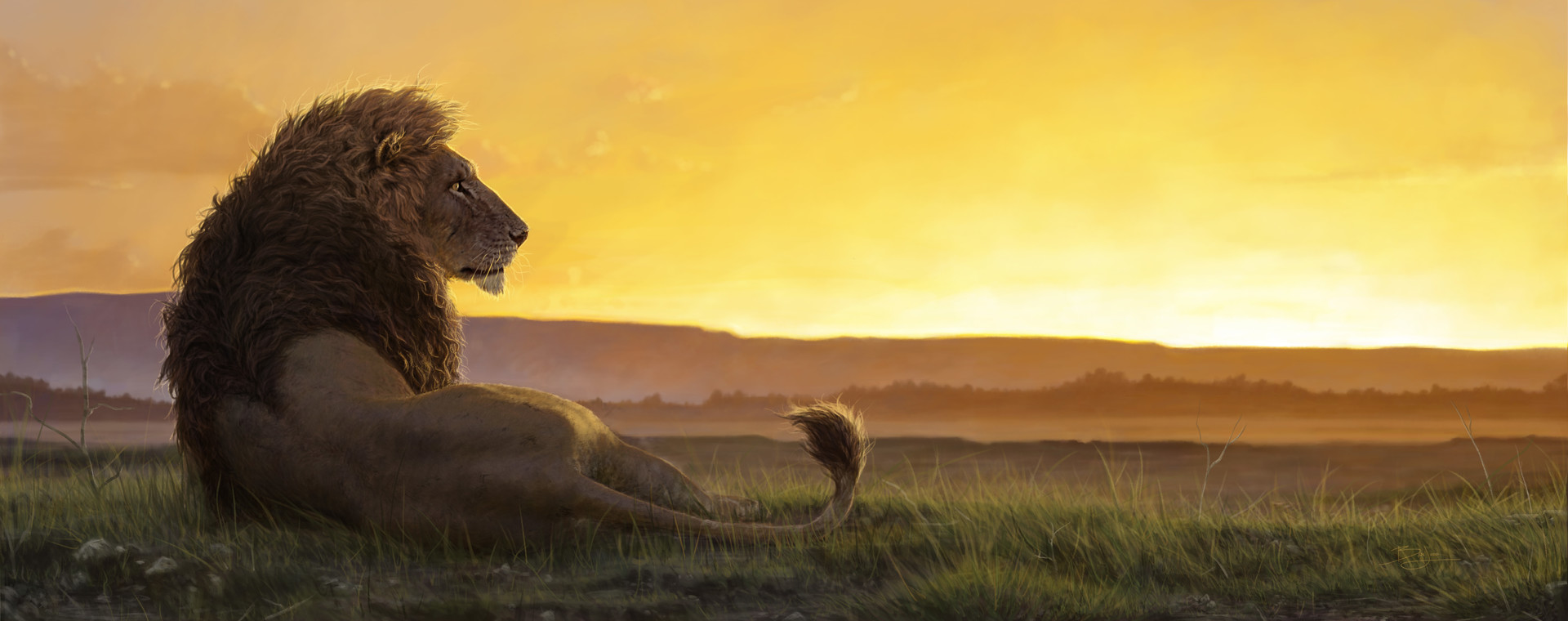 benjuddart.com - Lion in the sun