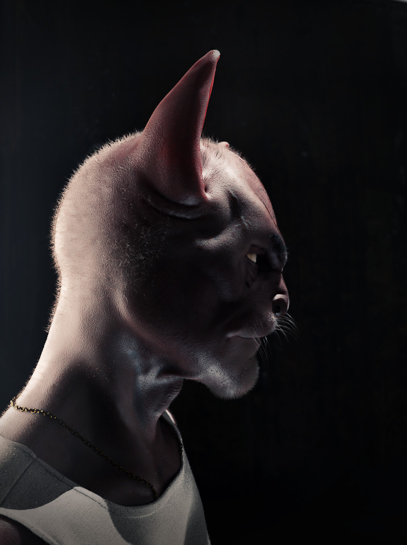 ArtStation - Bad Cat