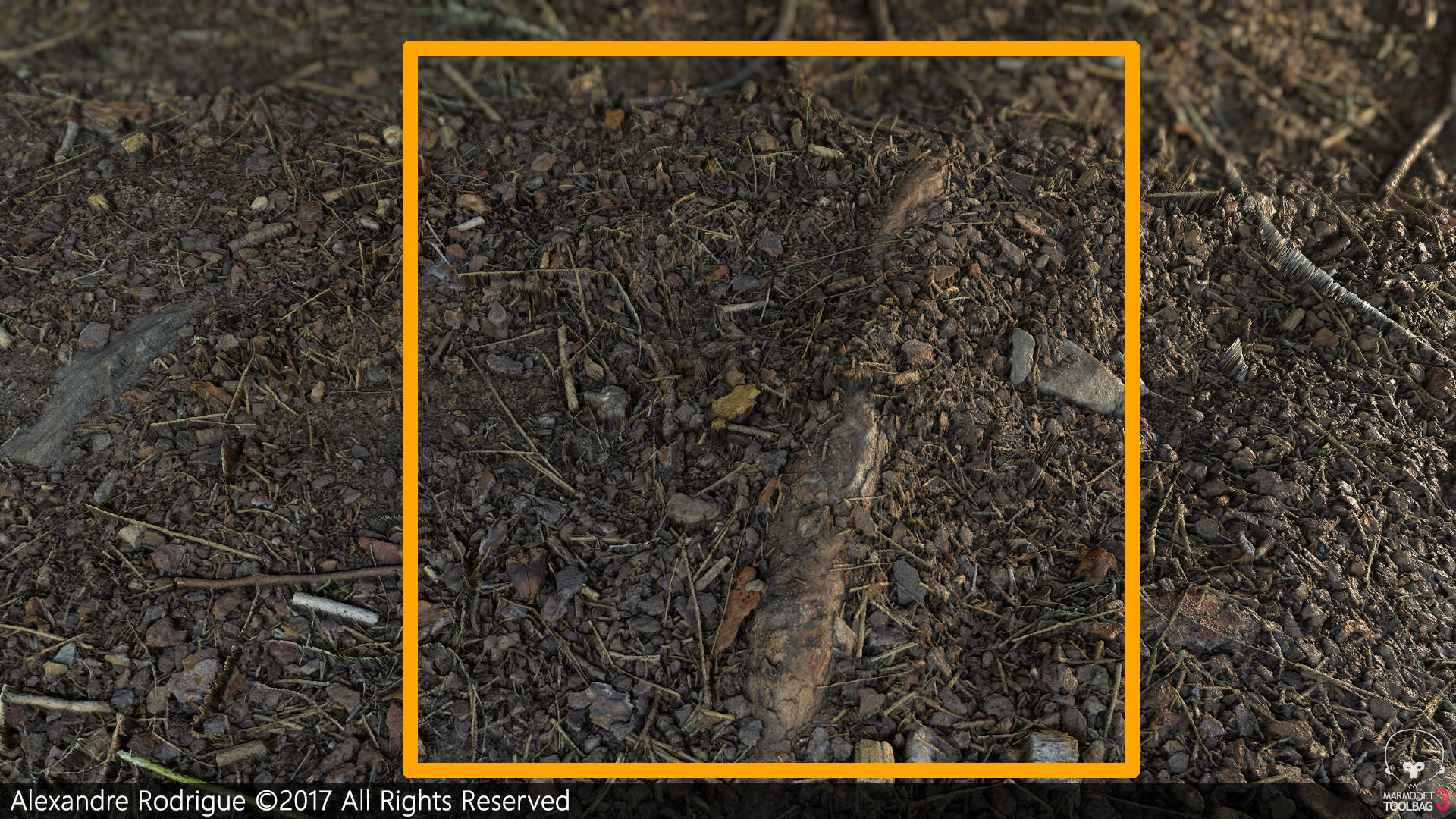 ArtStation - Forest scan -01