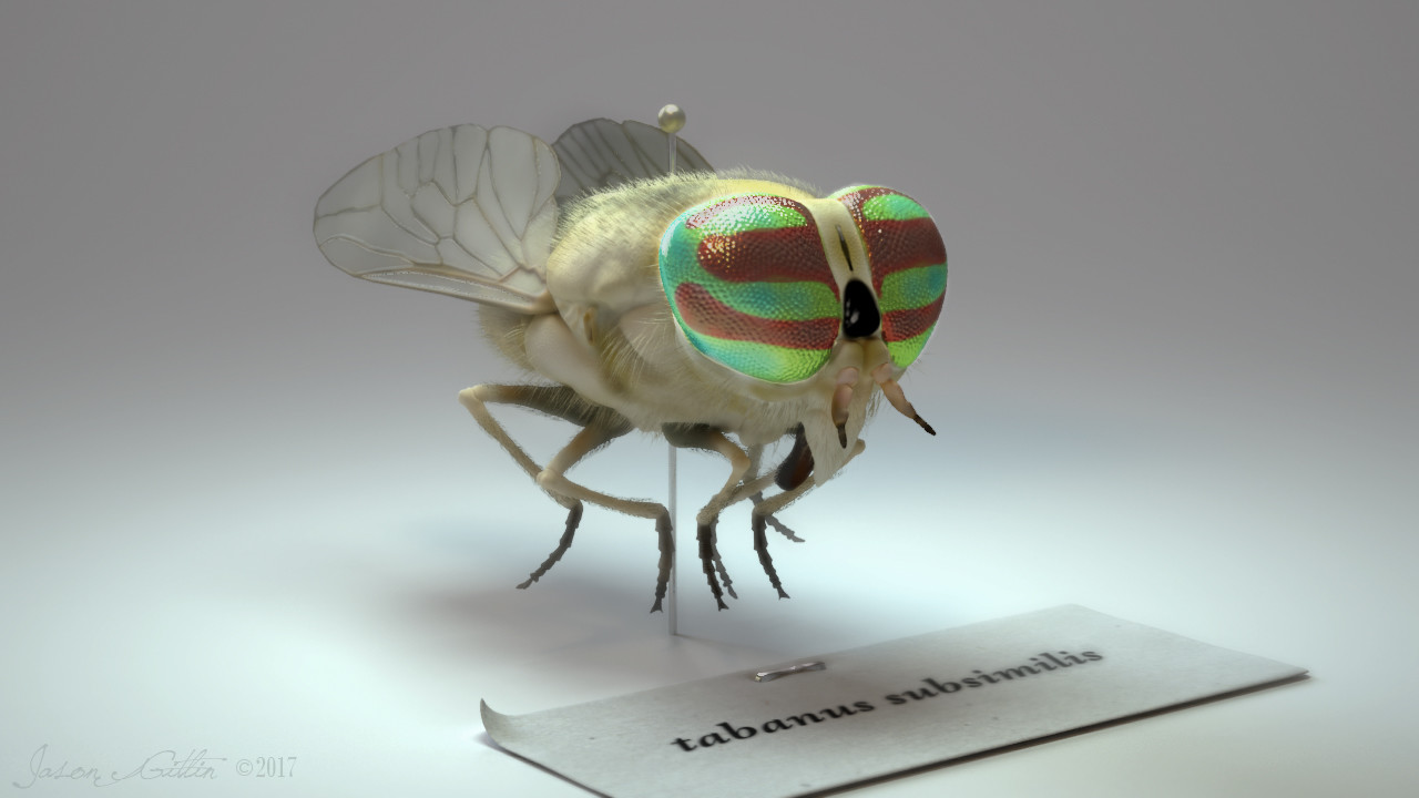 ArtStation - Fly Speed Sculpt