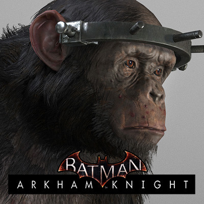 Meng Guan - Arkham Knight - Lab Chimp