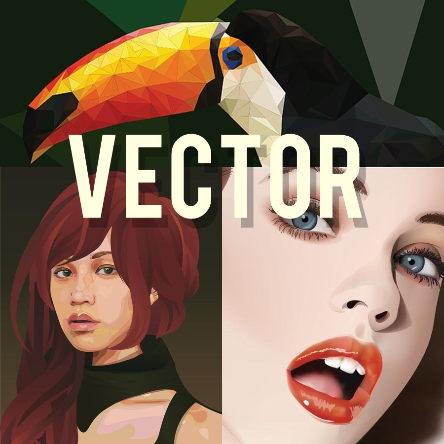 ArtStation - Vector Arts