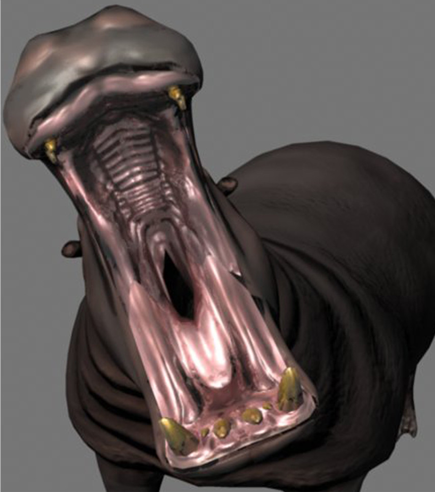 ArtStation - Hippopotamus