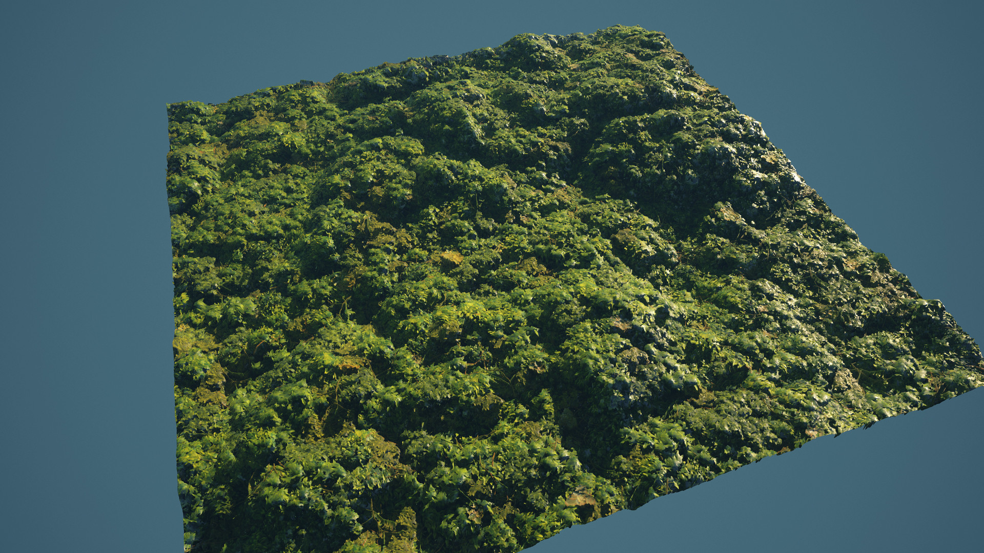 ArtStation - Thick Moss - Procedural Material - Houdini