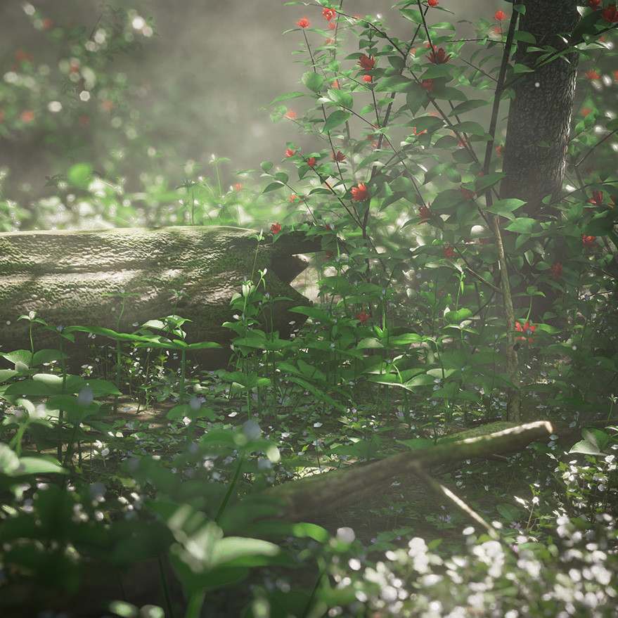 ArtStation - UE4 Forest Environment