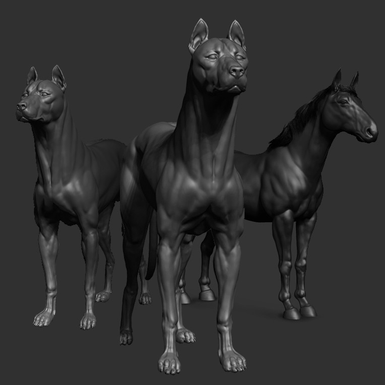 ArtStation - Old Animal studies