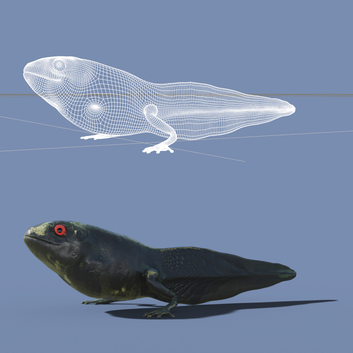 ArtStation - Frog metamorphosis cycle