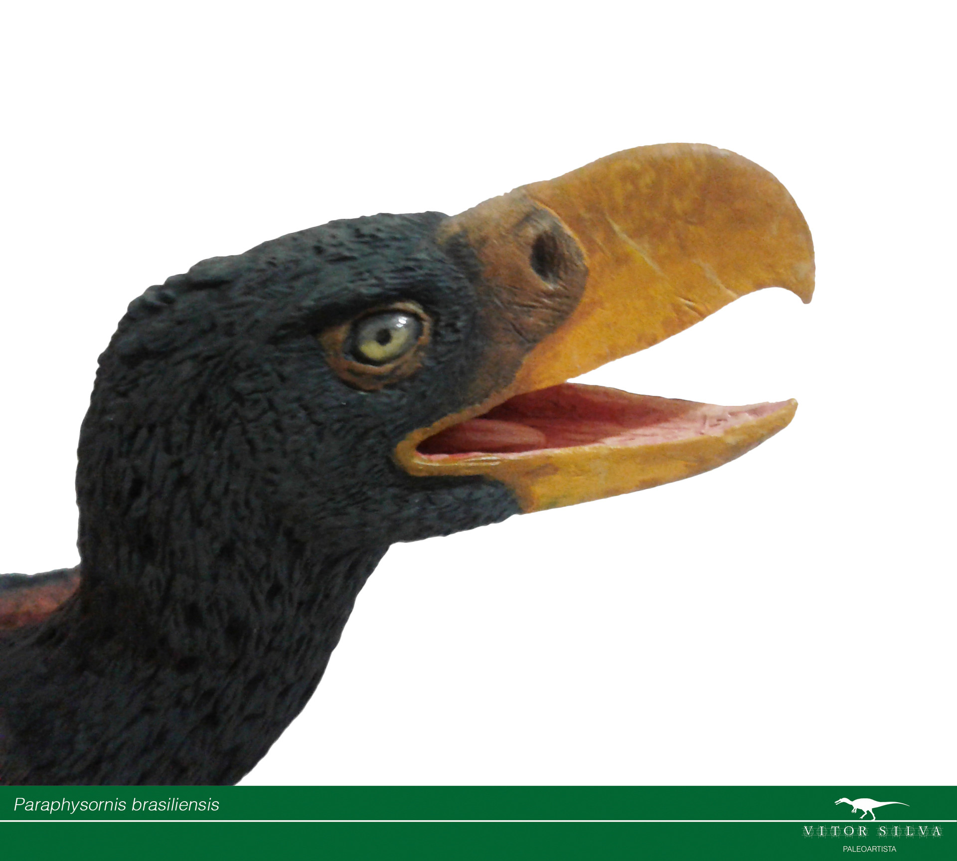 ArtStation - Paraphysornis