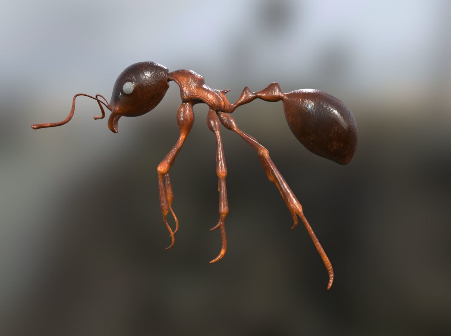 ArtStation - Ant-Aphaenogaster lepida