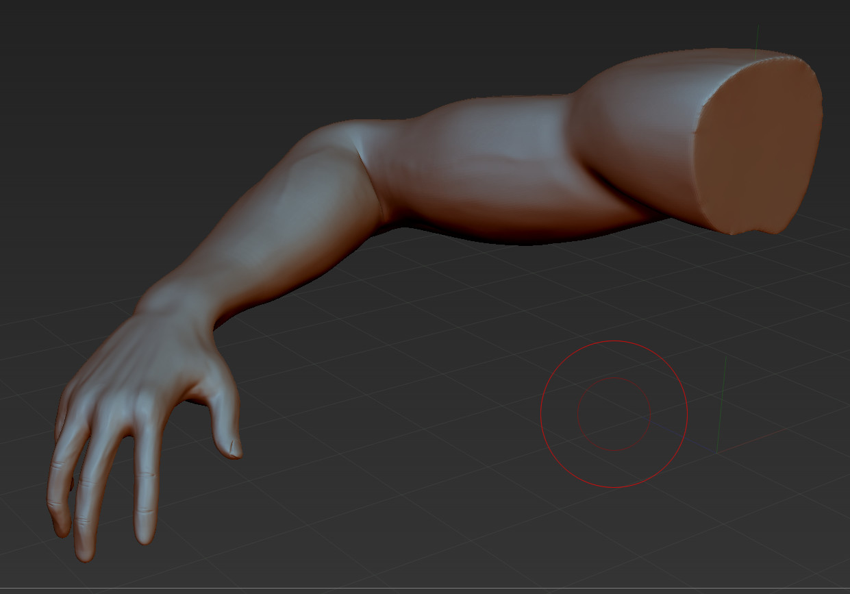 ArtStation - Arm Study 2D + 3D
