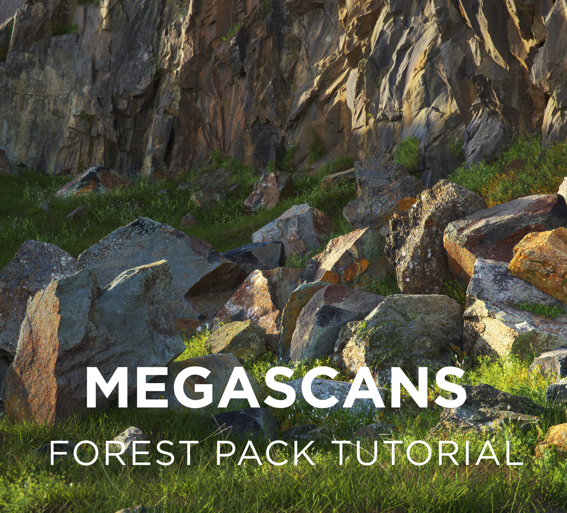 ArtStation - Megascans Forest Pack Tutorial