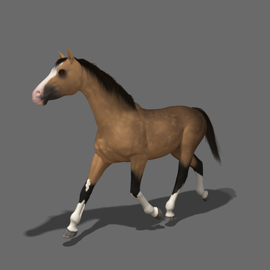 ArtStation - Horse animation.