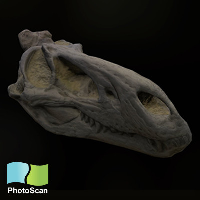 ArtStation - Photogrammetry skull