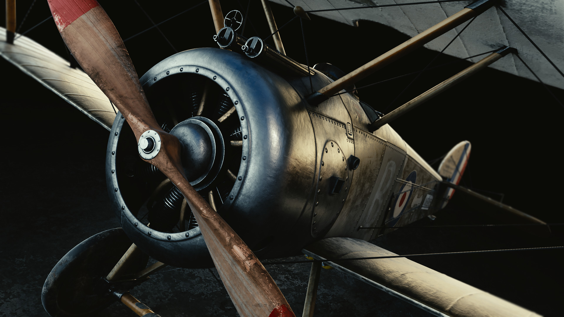 ArtStation - Camel Fighter