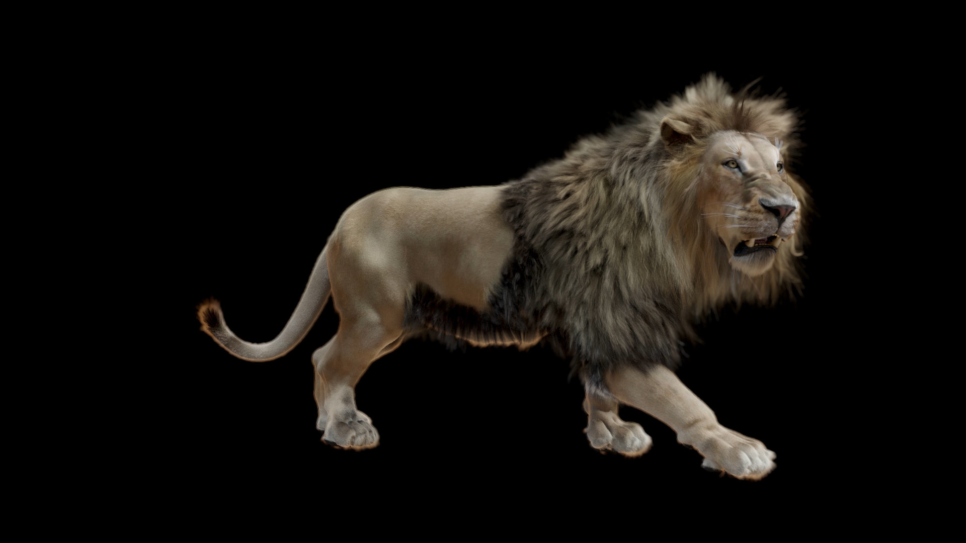 ArtStation - Lion, Stephen Goodson