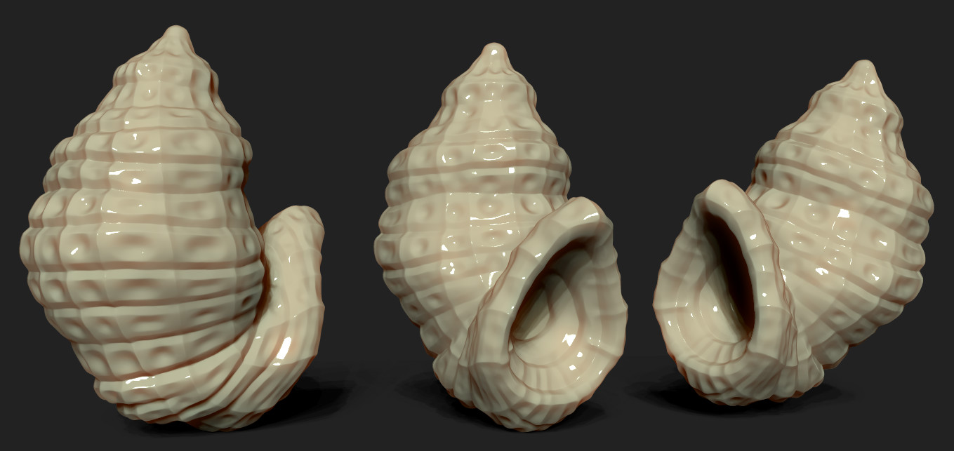 ArtStation - SculptJanuary18 - Day 25 - Shell