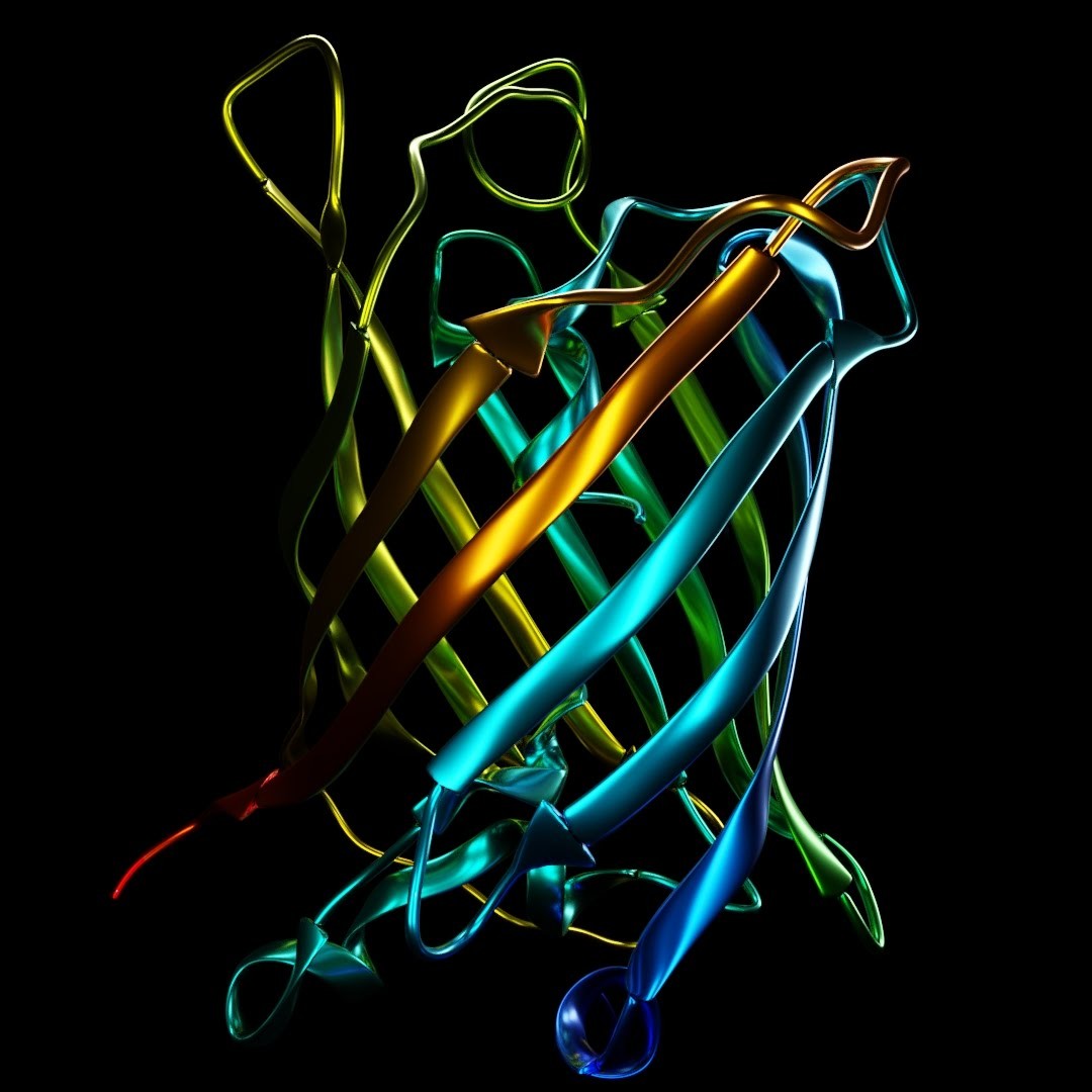 Michael Porter - Cyan Fluorescent Protein