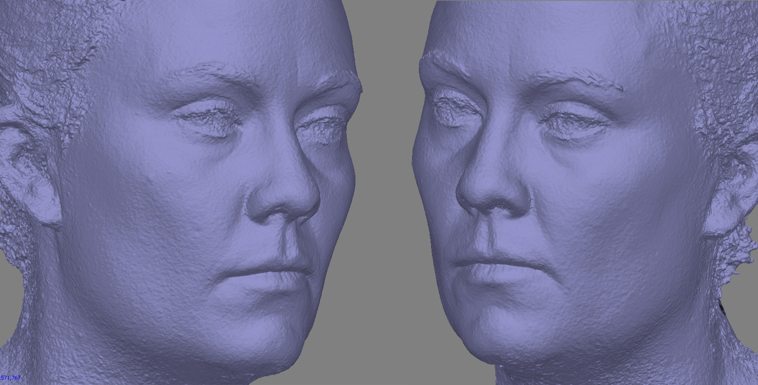 ArtStation - Cross Polarization - Single Camera head scan