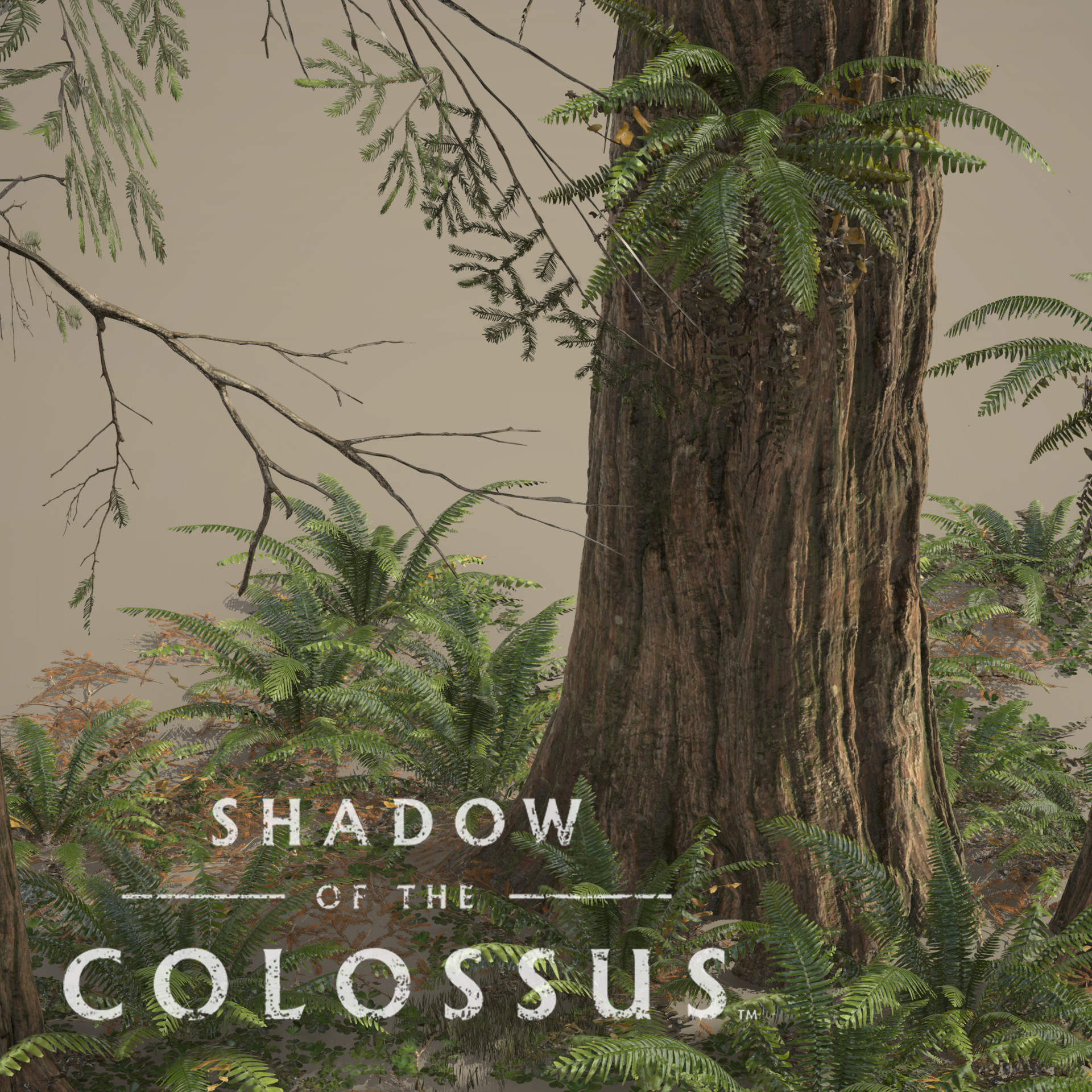 ArtStation - Shadow of the Colossus: Redwood Forest