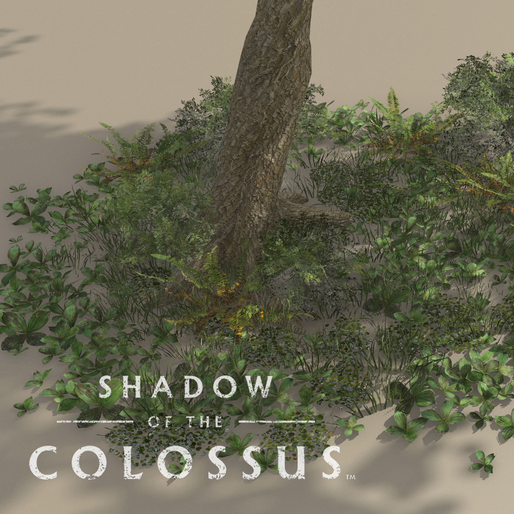 ArtStation - Shadow of the Colossus: Oak Forest