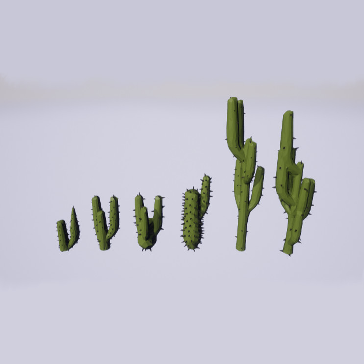 ArtStation - Procedural Cacti Generation
