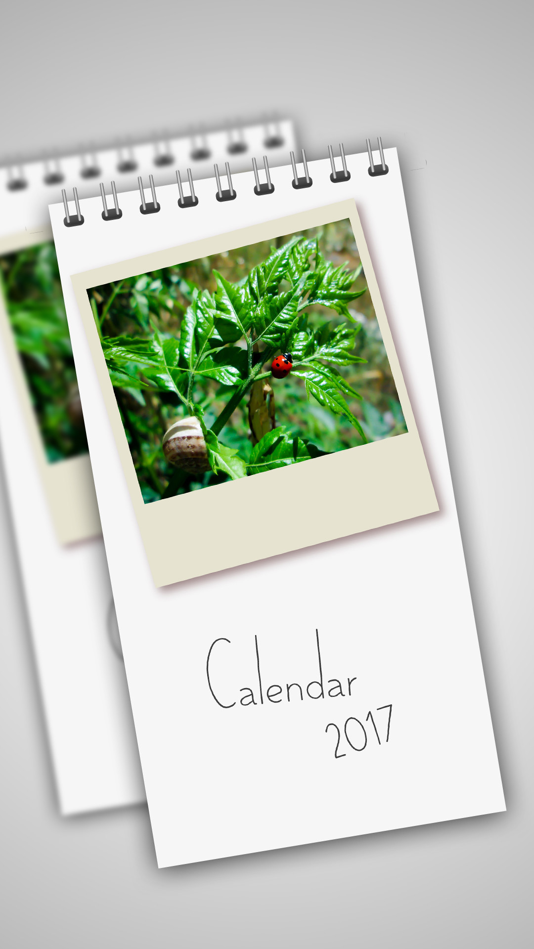 ArtStation - Hand Made Calendar 2017
