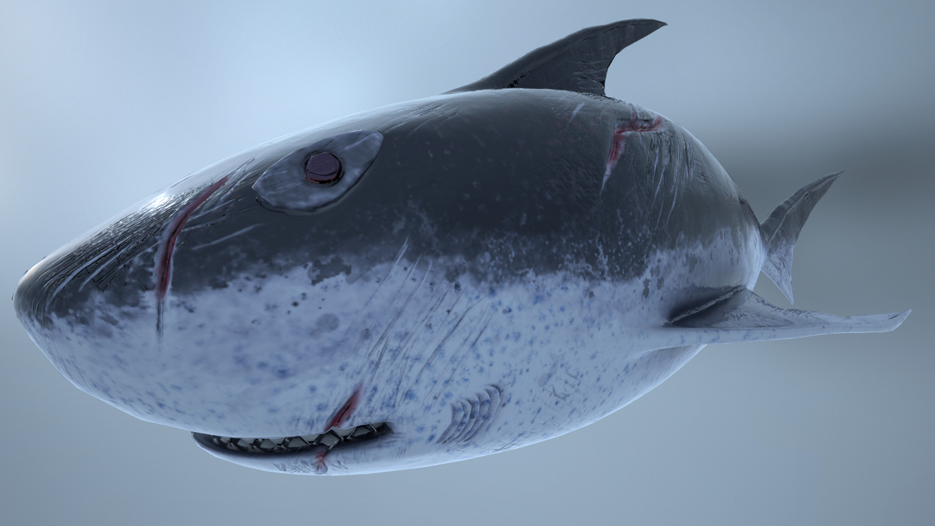 ArtStation - Slightly stylized shark.