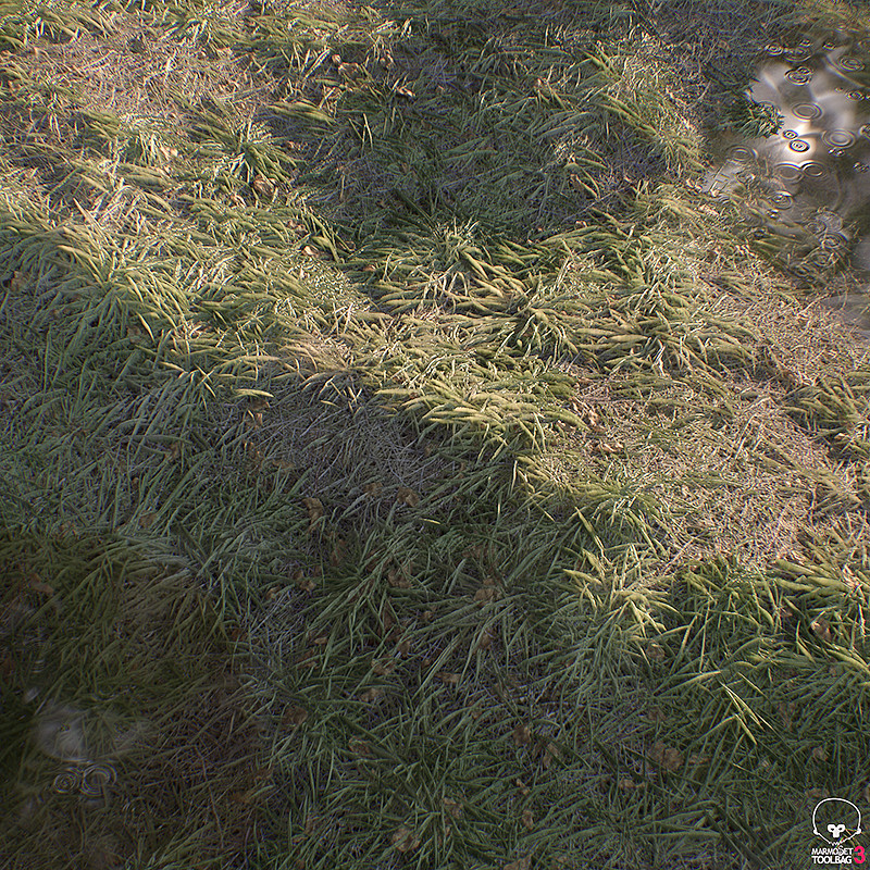 ArtStation - Substance Grass Shader