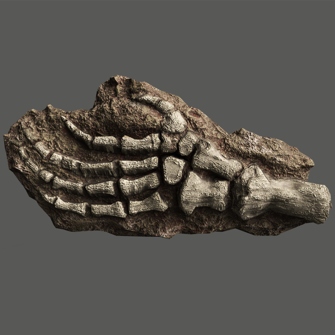 ArtStation - Human Hand Fossil