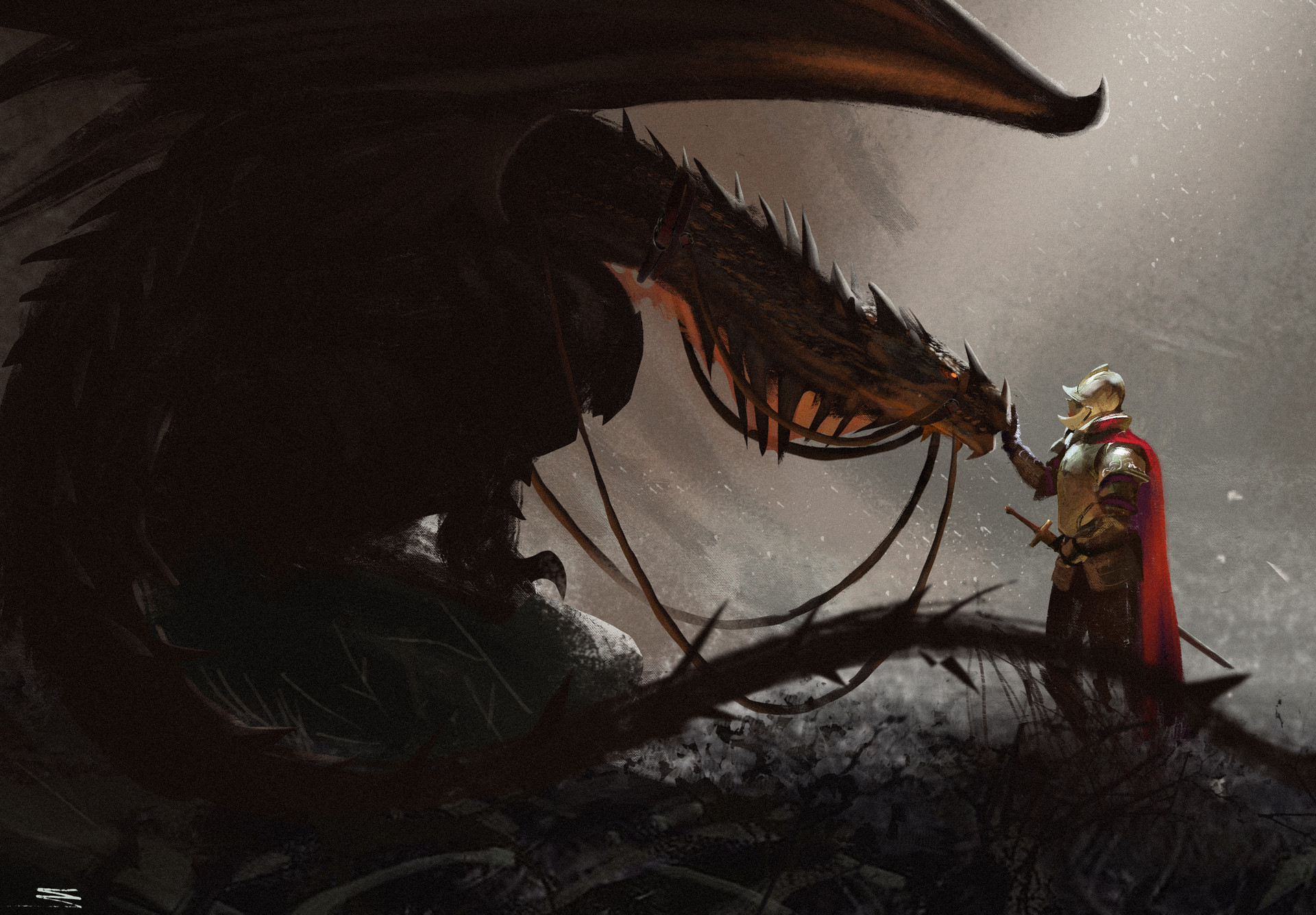 ArtStation - Dragon's Rider's