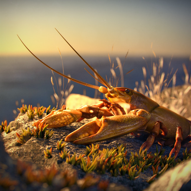 ArtStation - Sunset Crayfish