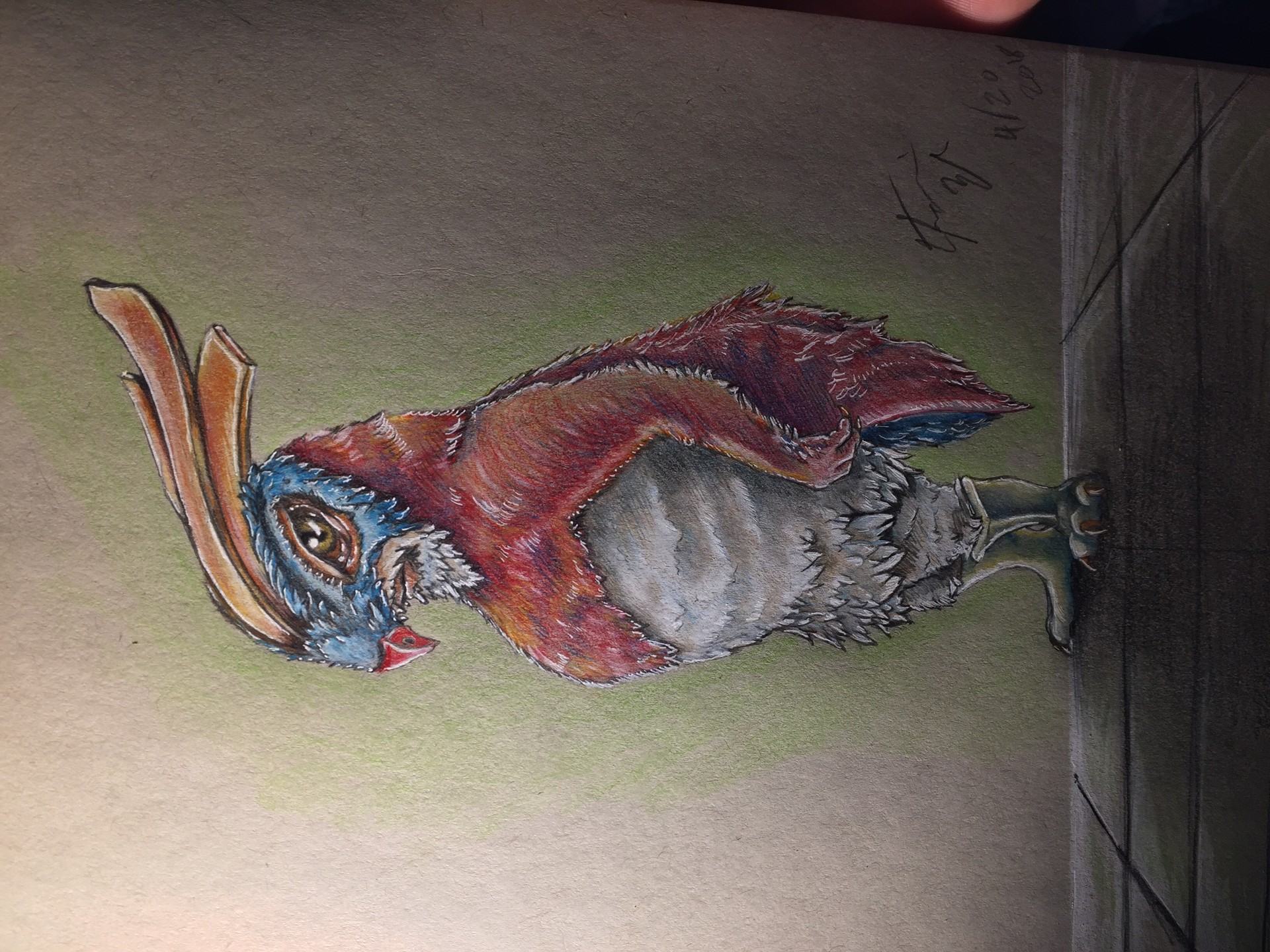 ArtStation - Hawlucha (realism)