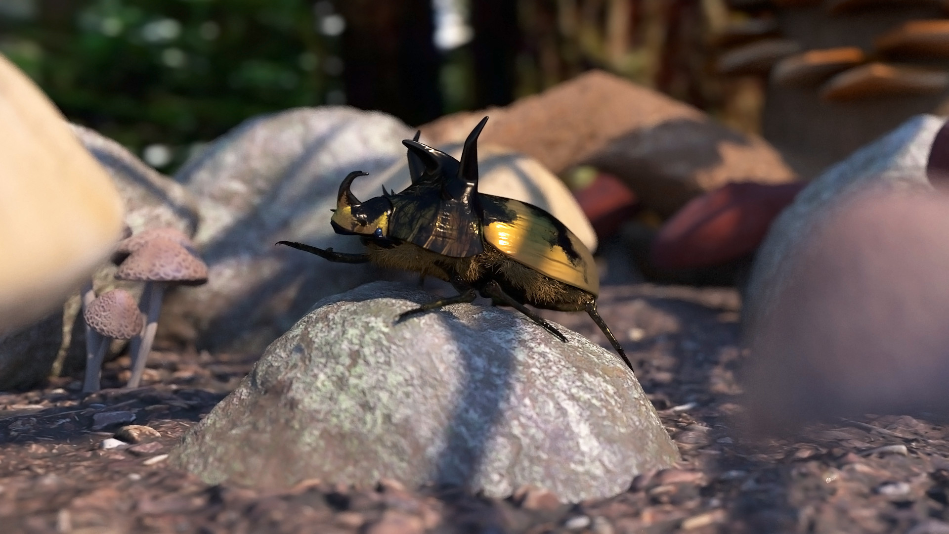 ArtStation - Insect project