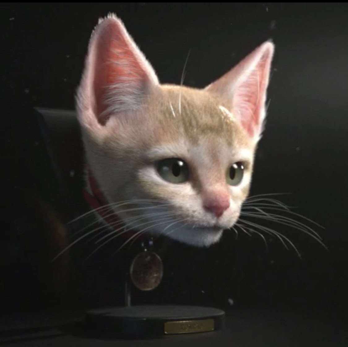 ArtStation - Cat head.