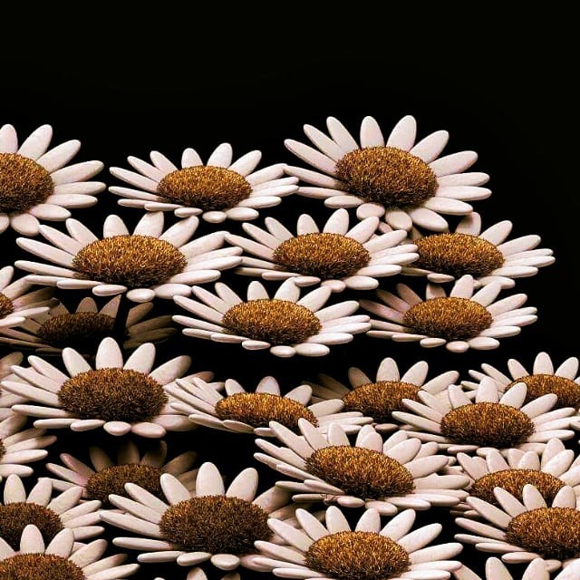 ArtStation - Daisy render