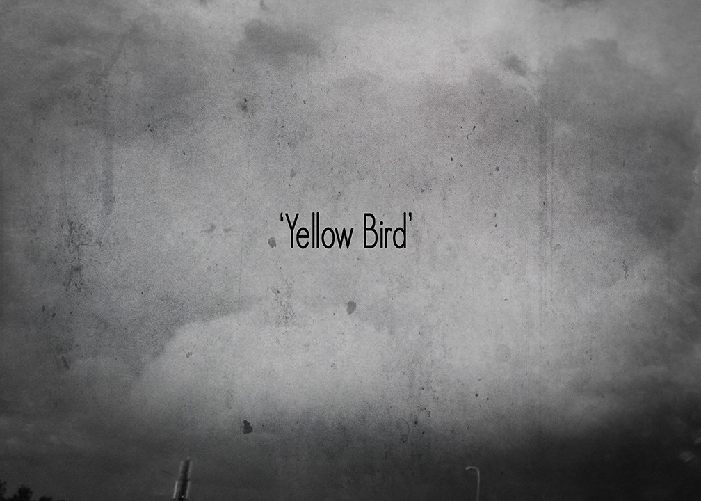 ArtStation - 'Yellow Bird'