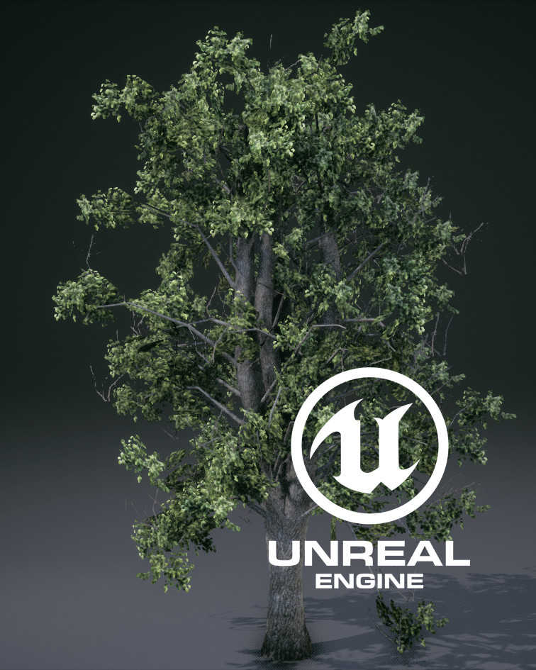 ArtStation - UE4 Tree