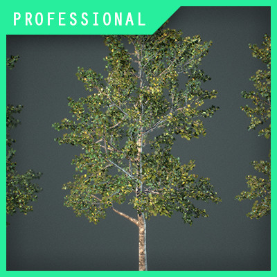 ArtStation - Red Alder Tree