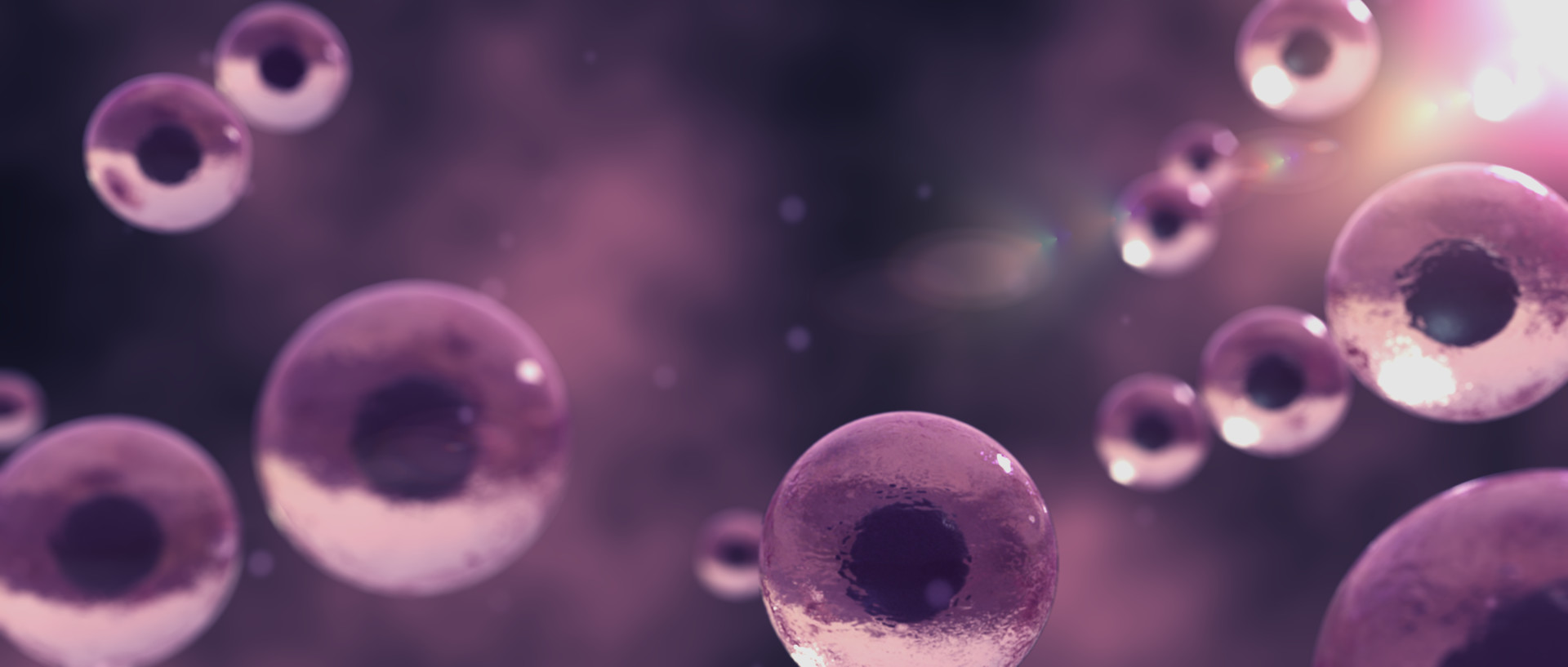 ArtStation - Cell Division