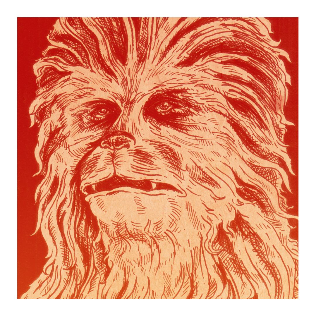 ArtStation - The Portrait of a 190 Years Old Wookiee