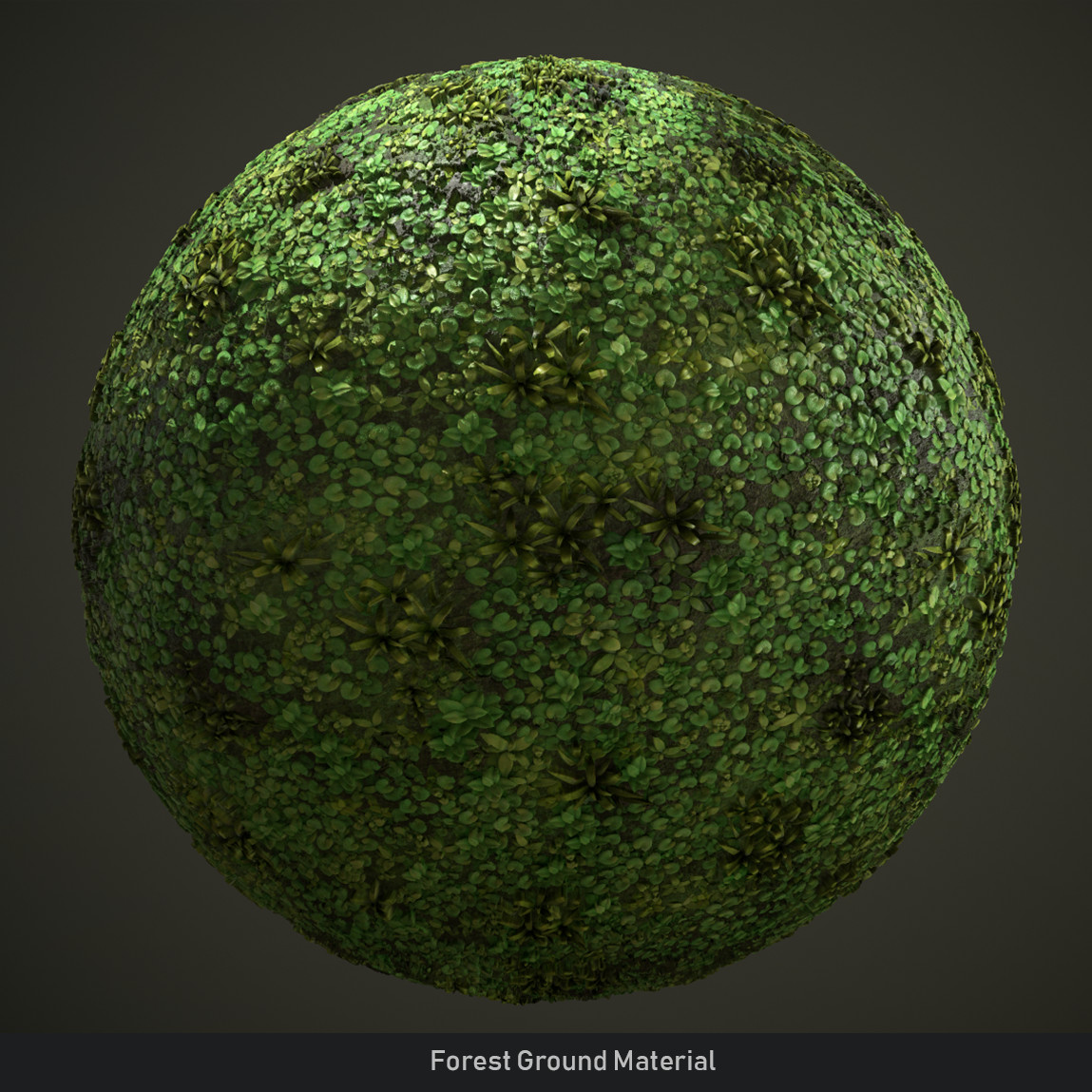 ArtStation - Forest Ground Material